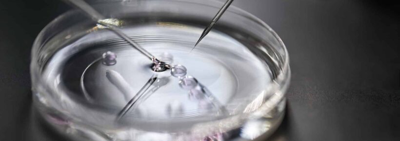 IVF Catholic Church Teaching in the Catechism | HLI