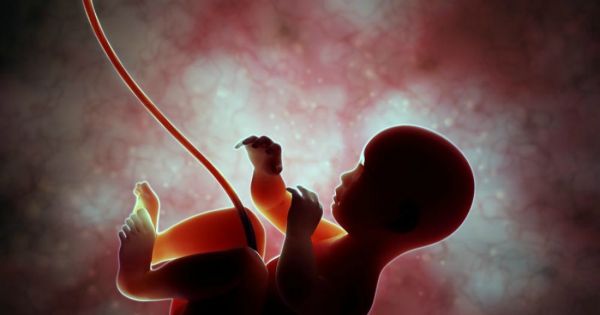 Gonzales vs. Carhart and Partial-Birth Abortion Revealed