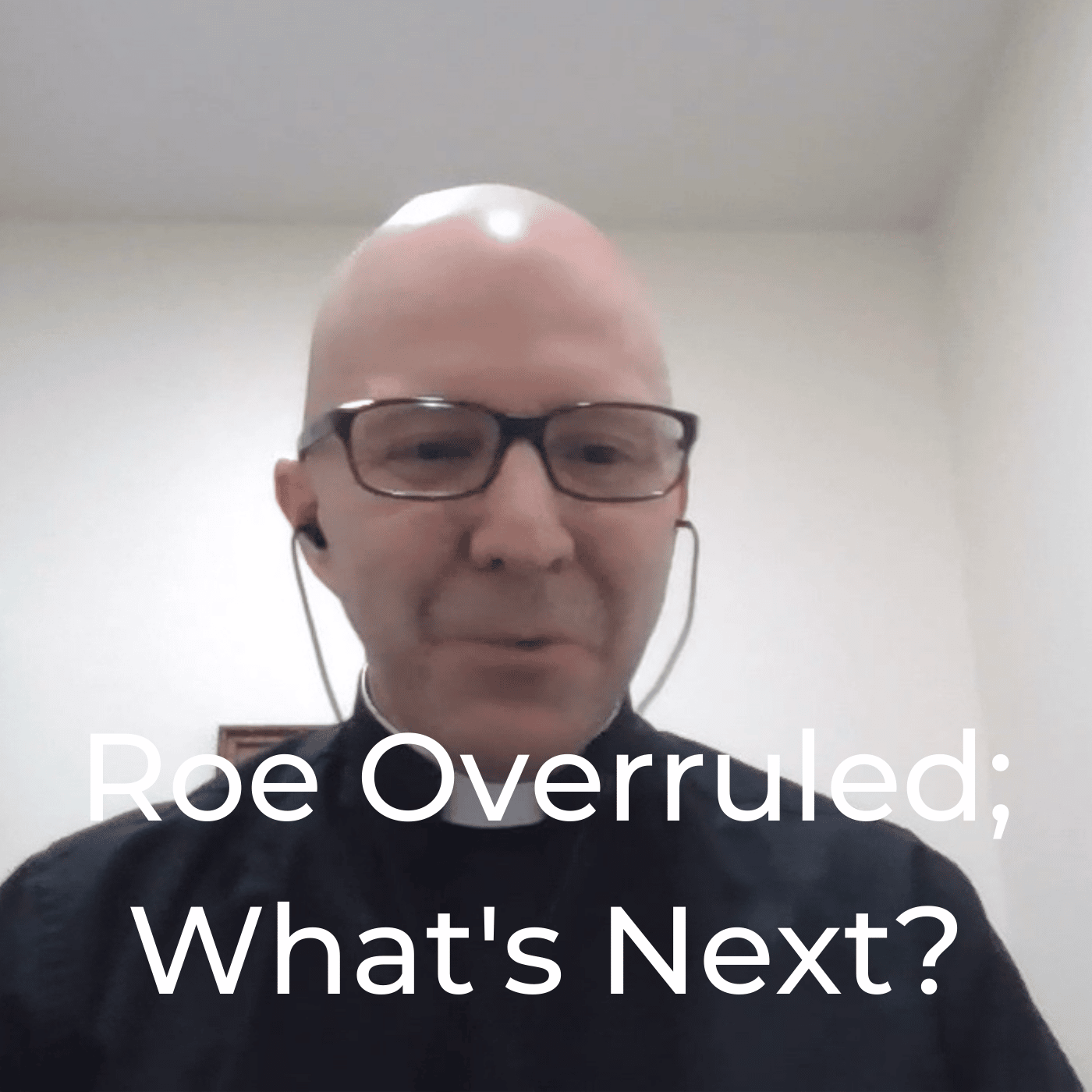 Celebration and Expectations after the Dobbs Decision | Human Life ...